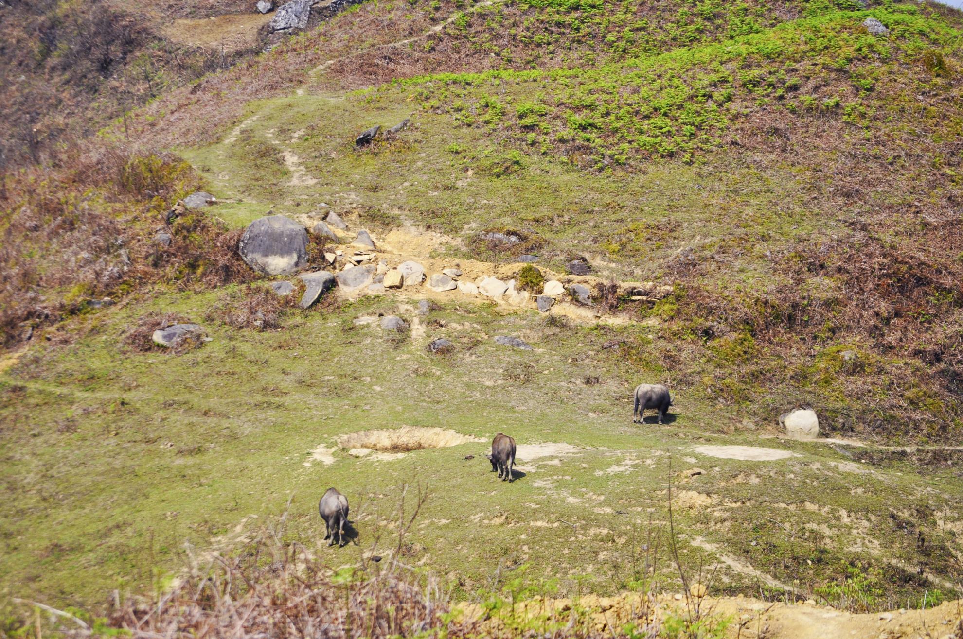 Trekking in Sa Pa - That-Monday